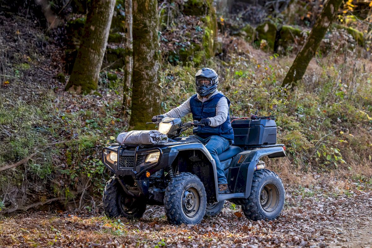 Best Utility ATVs: 25 Models to Conquer Any Trail - Gadget Review