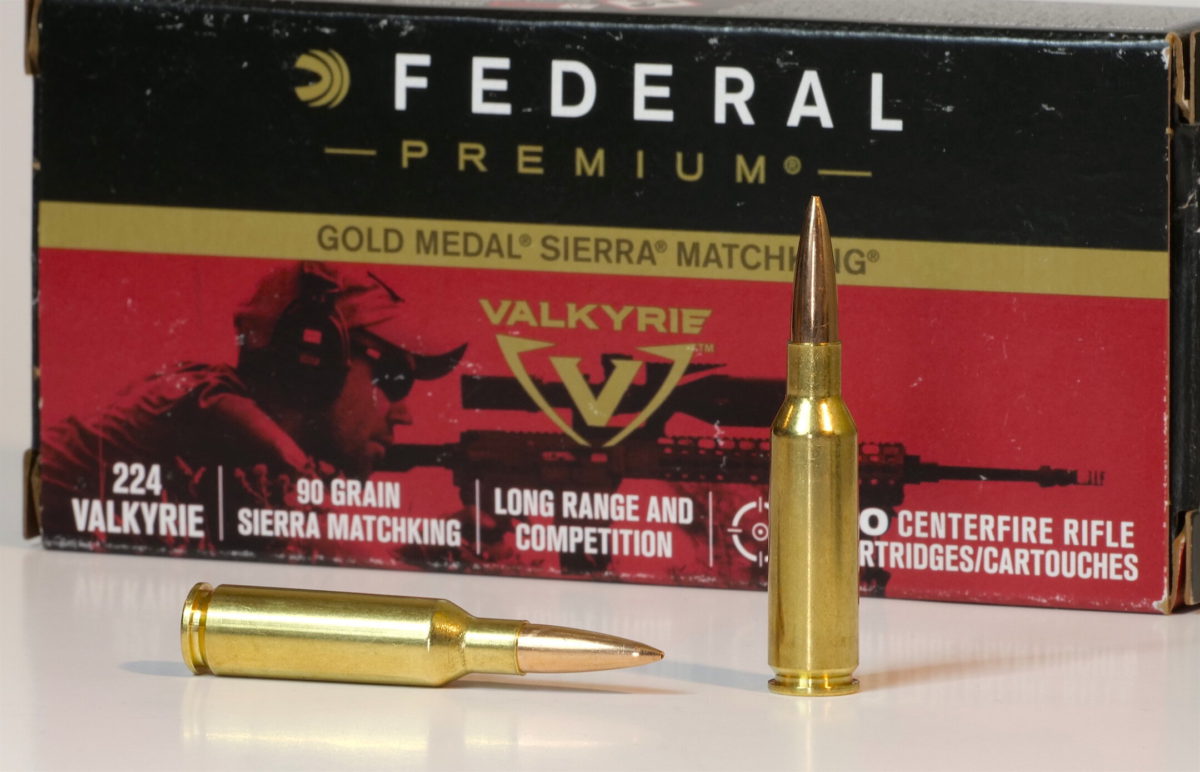 10 of the Most Accurate Cartridges You Can Buy - Gadget Review