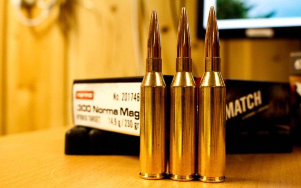 10 of the Most Accurate Cartridges You Can Buy - Gadget Review