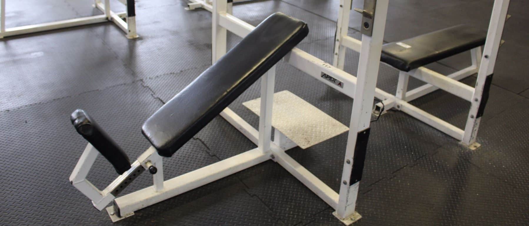 Apex Workout Bench | EOUA Blog