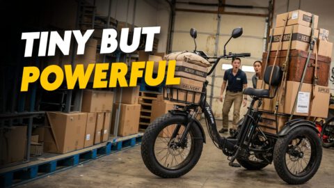 9 of the Best Electric Trikes of 2026 - Gadget Review