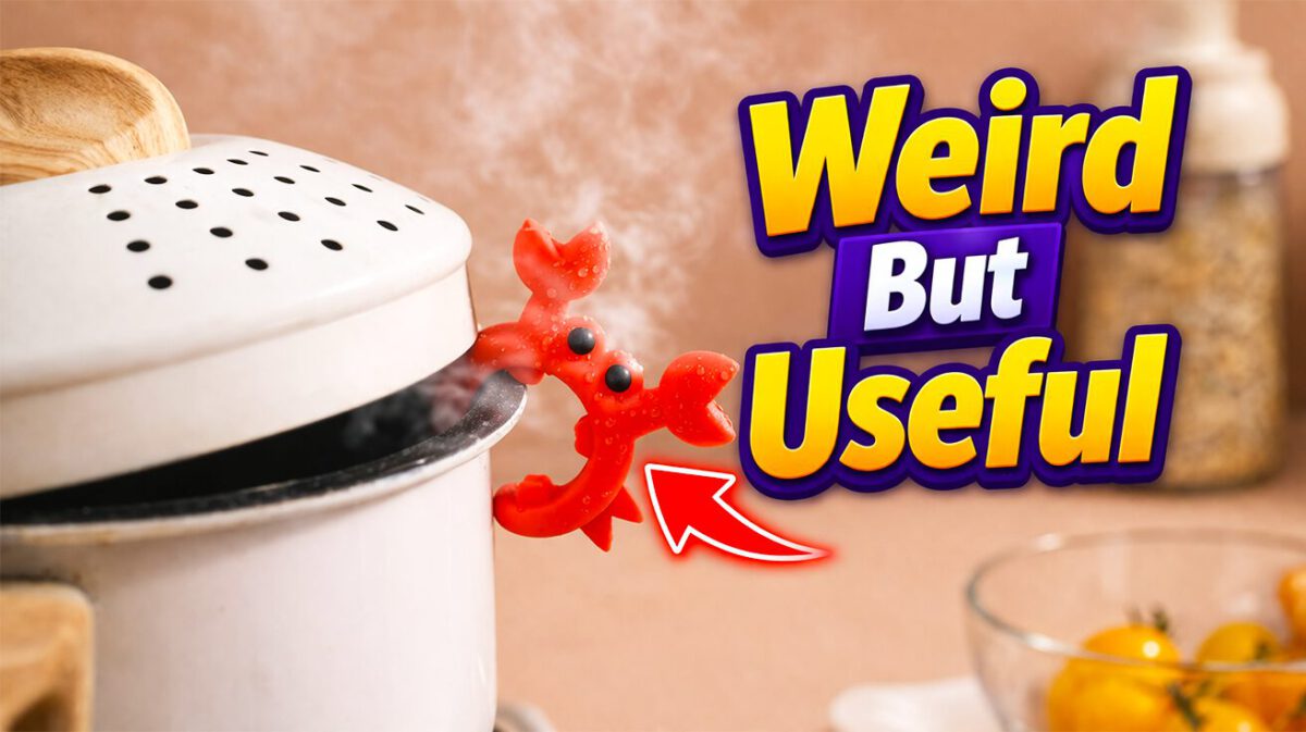 23 Cooking Gadgets That Will Make Your Kitchen Run Like Clockwork ...