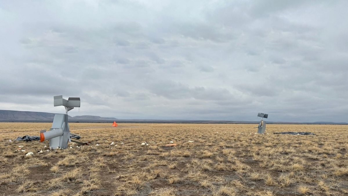 USAF Grasshopper: Eagle-Inspired Cargo Glider Transforms Military ...