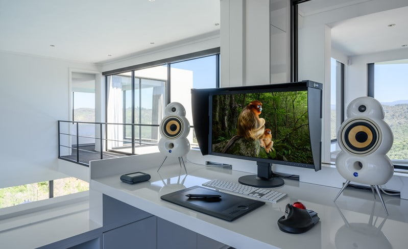 Types Of Monitors Explained | How To Choose The Best Panel Type