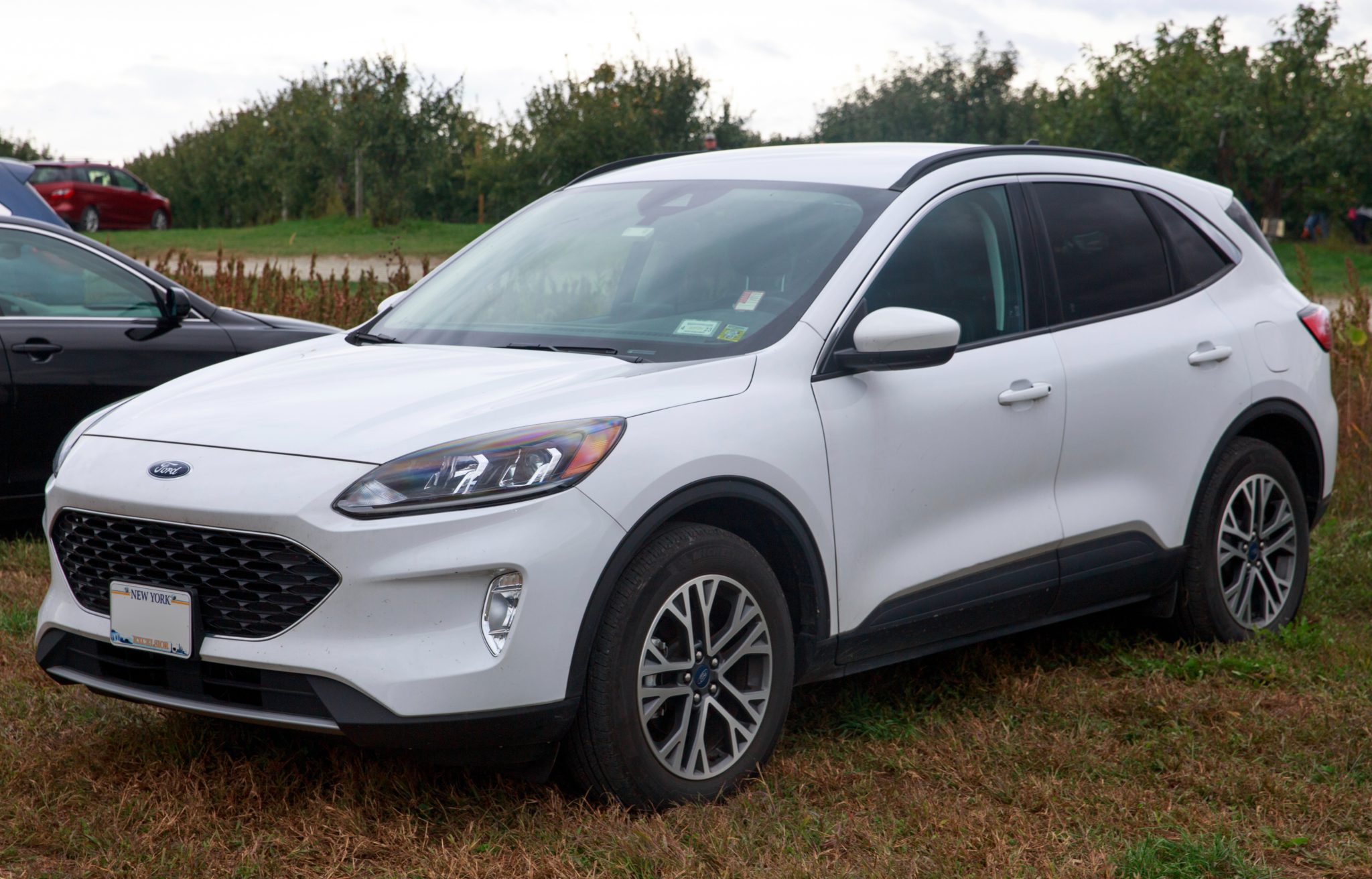 Ford Recalls 108,762 Escapes Over Hinge Covers That Could Fly Off While ...