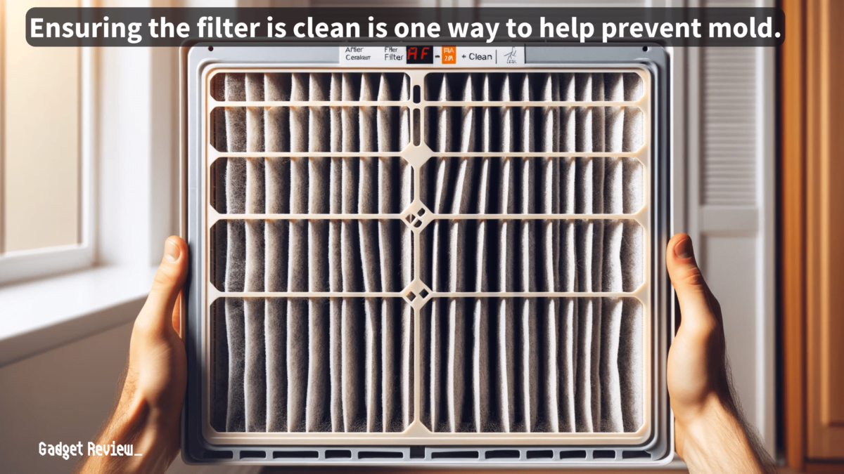 Mold In Air Conditioner | How To Clean Out A Moldy AC