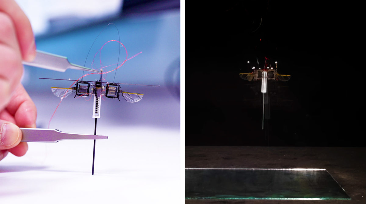 RoboBees: Why is MIT Making Robot Insects? - Gadget Review