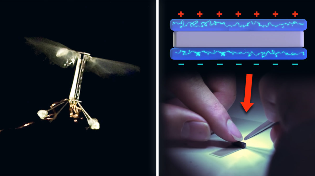 RoboBees: Why is MIT Making Robot Insects? - Gadget Review