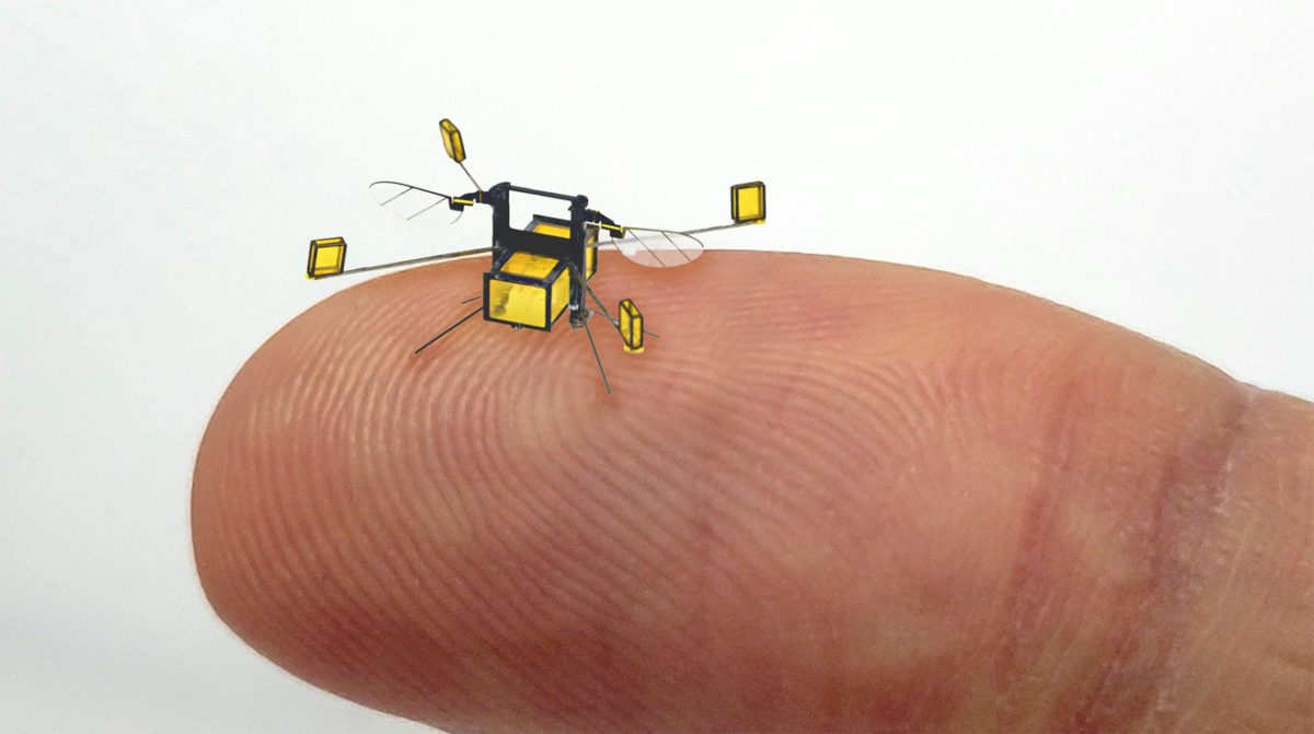 RoboBees: Why is MIT Making Robot Insects? - Gadget Review