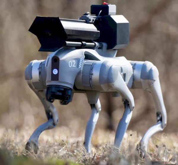 Discover the Top 10 Cutting-Edge Humanoid AI Robots of 2024/2025 ...