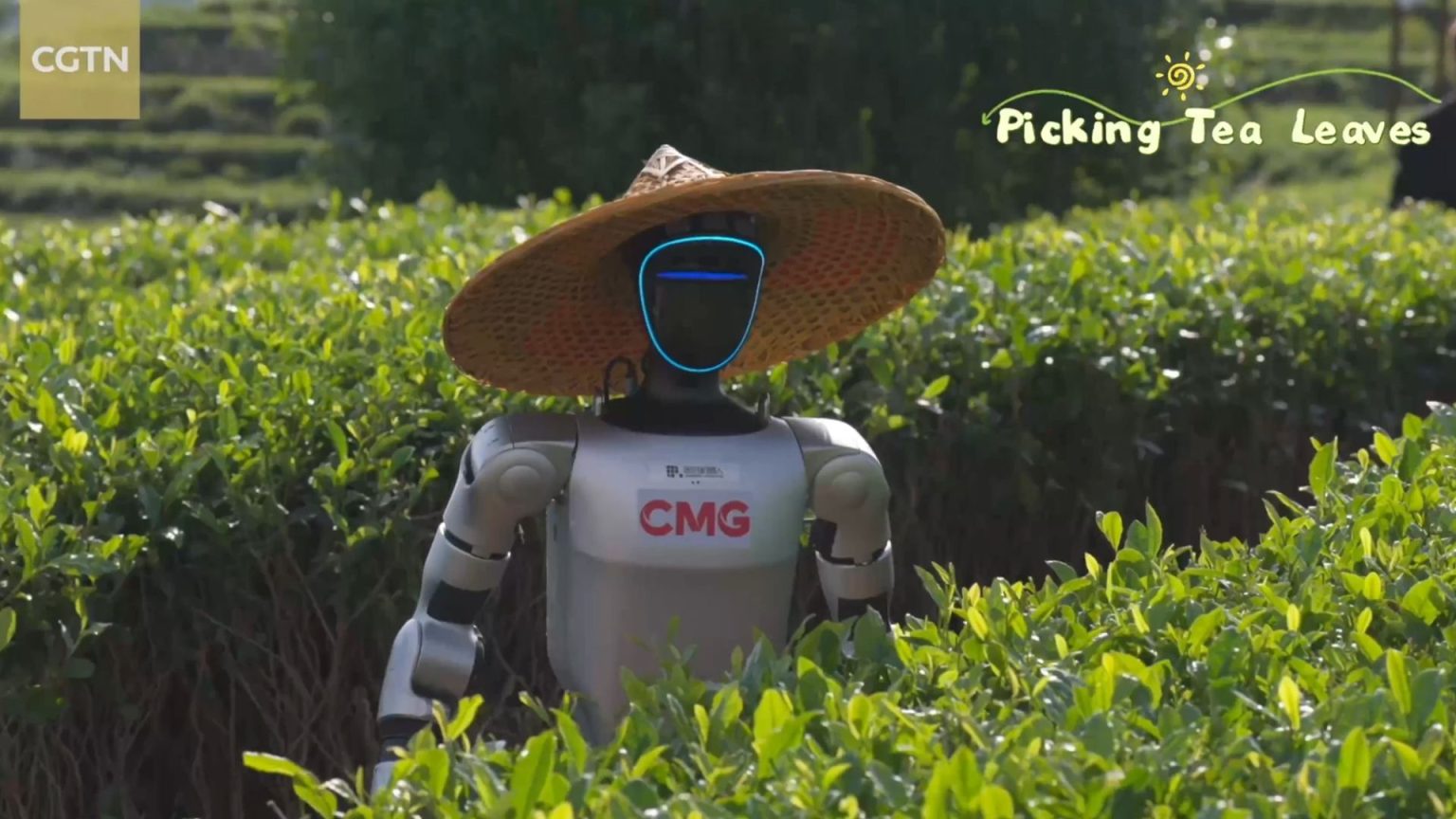 Melody Humanoid Robot - The $175,000 Shift That Just Made Your ...
