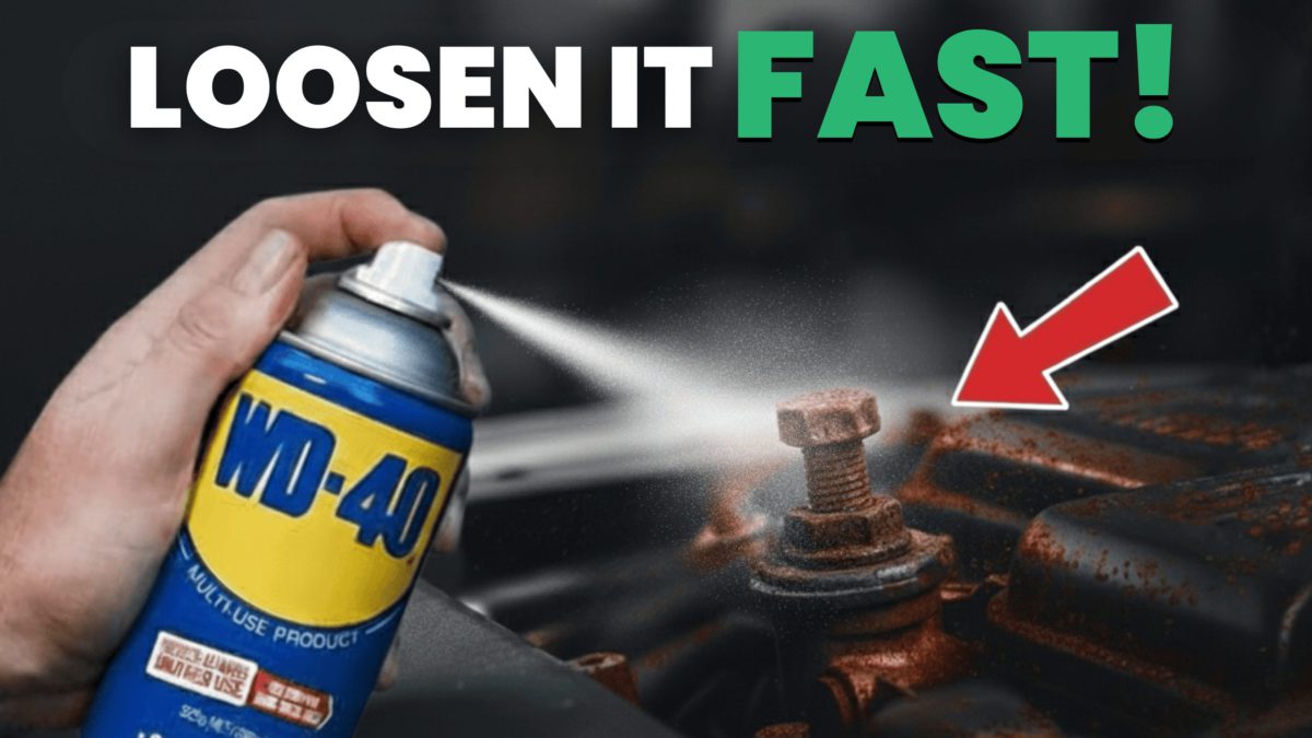 Art Meets Engineering: How UCLA Created COSMO, Netflix's Practical ...