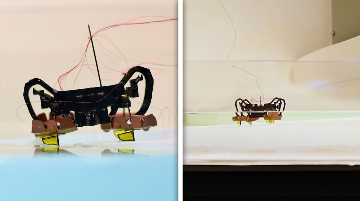 RoboBees: Why is MIT Making Robot Insects? - Gadget Review