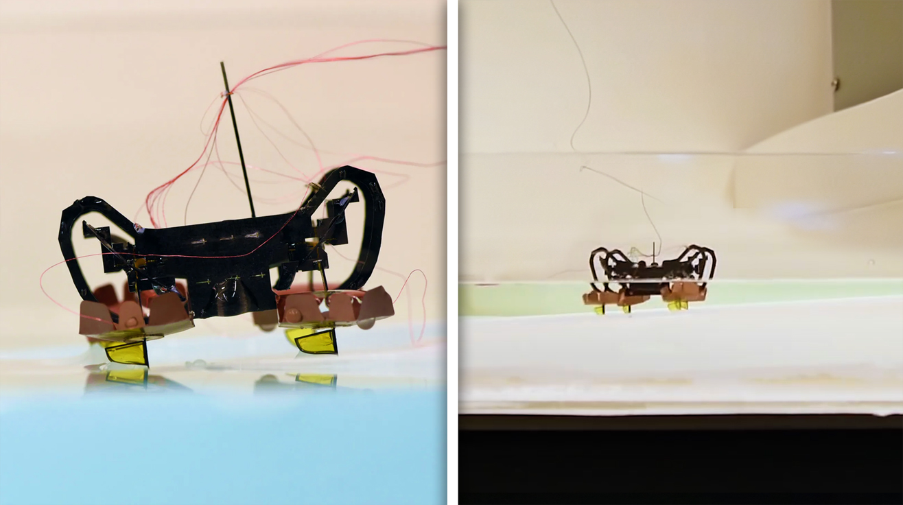 RoboBees: Why is MIT Making Robot Insects? - Gadget Review