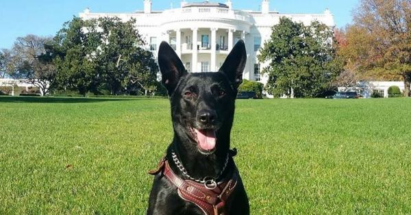 13 Incredible Layers of Security Protecting the White House - Gadget Review