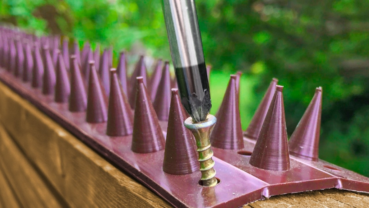 19 Home Security Gadgets and Inventions That Will Transform Your Safety ...