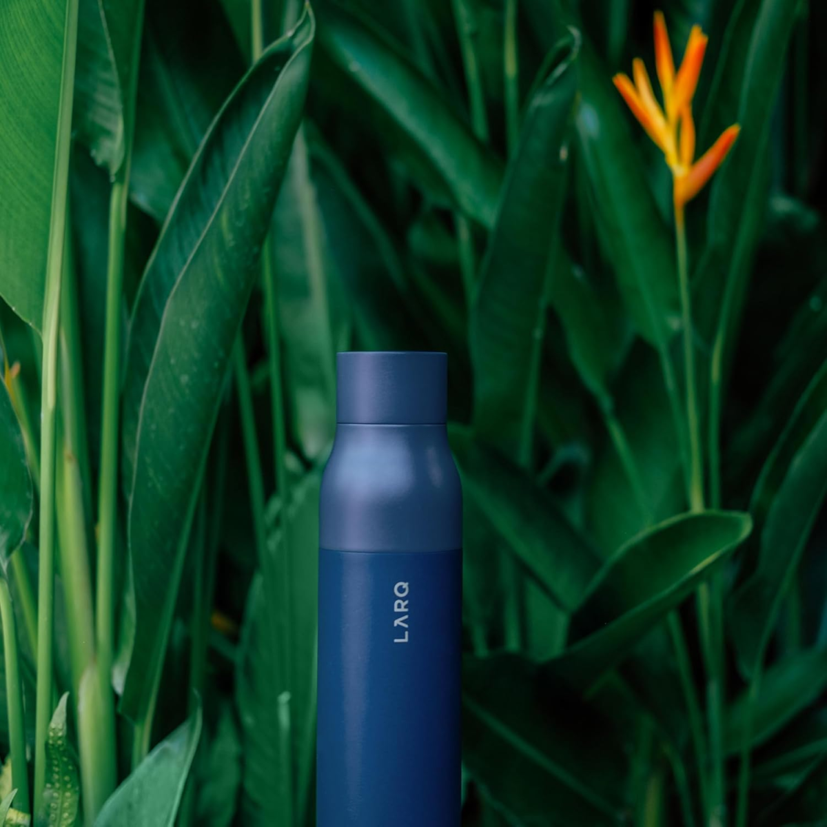 29 Coolest Amazon Inventions and Gadgets - Gadget Review