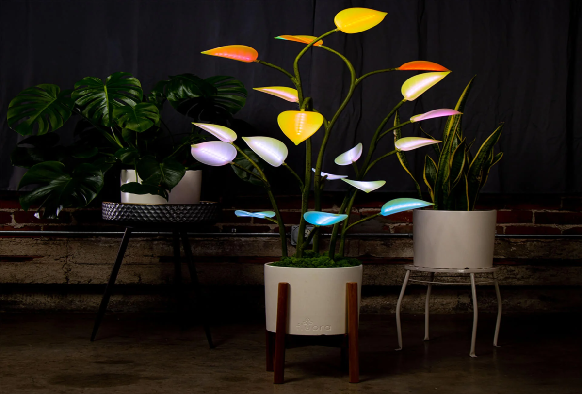 15 Coolest New Tech Gadgets on Amazon You Didn’t Know About - Gadget Review