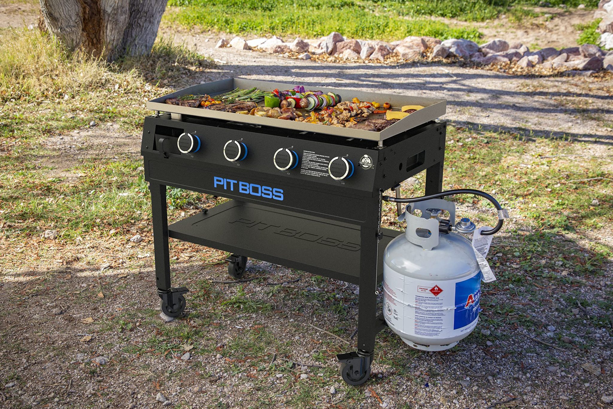 The 8 Best Outdoor Griddles in 2025—Tested for Real Heat, Build, and ...