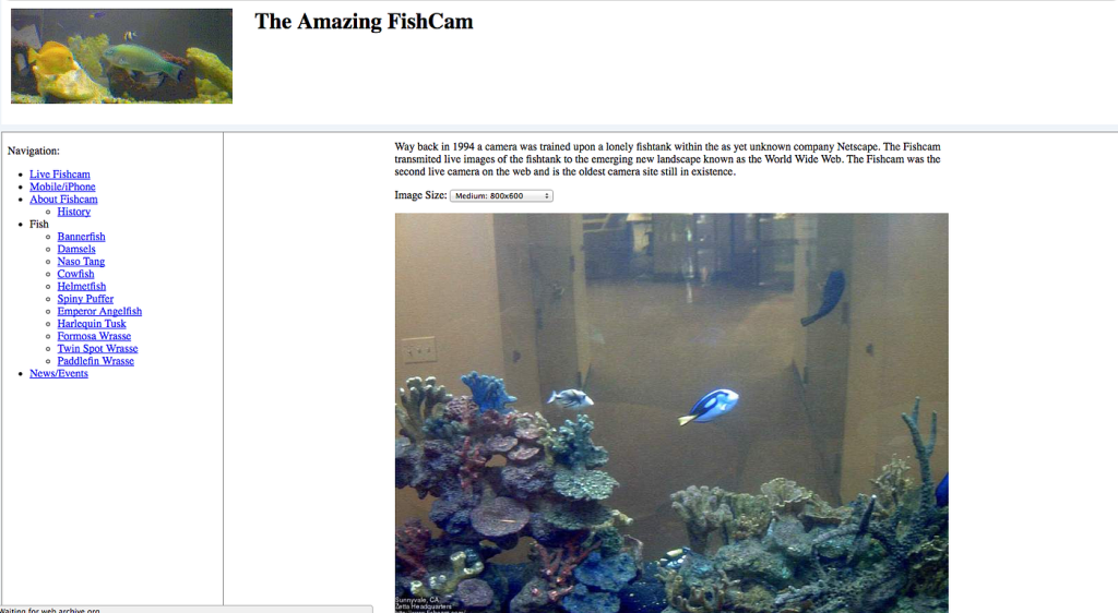 10 Things We Loved About the 1990s Internet That Are Gone Now - Gadget ...