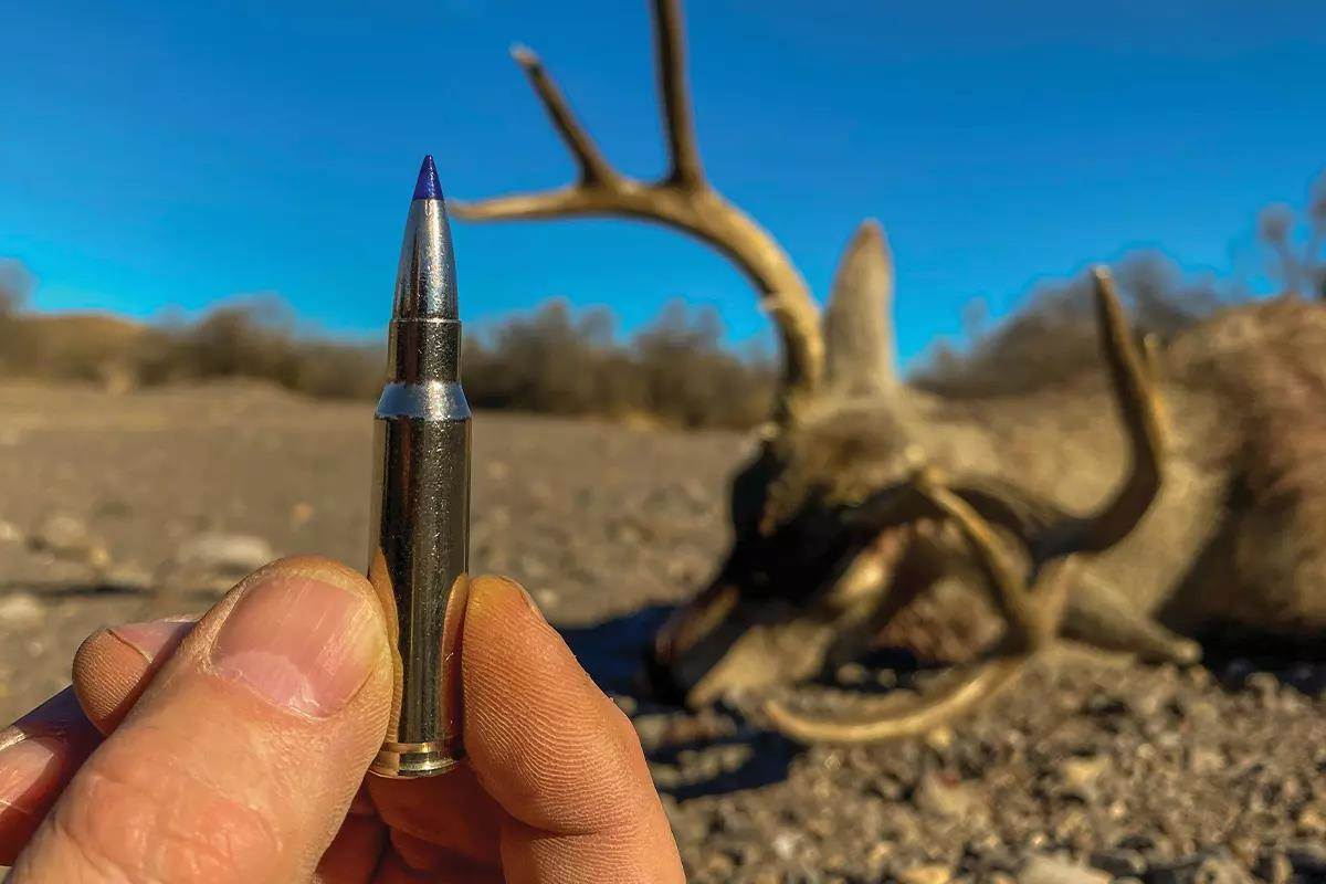 15 Versatile Hunting Calibers Every Hunter Should Know - Gadget Review