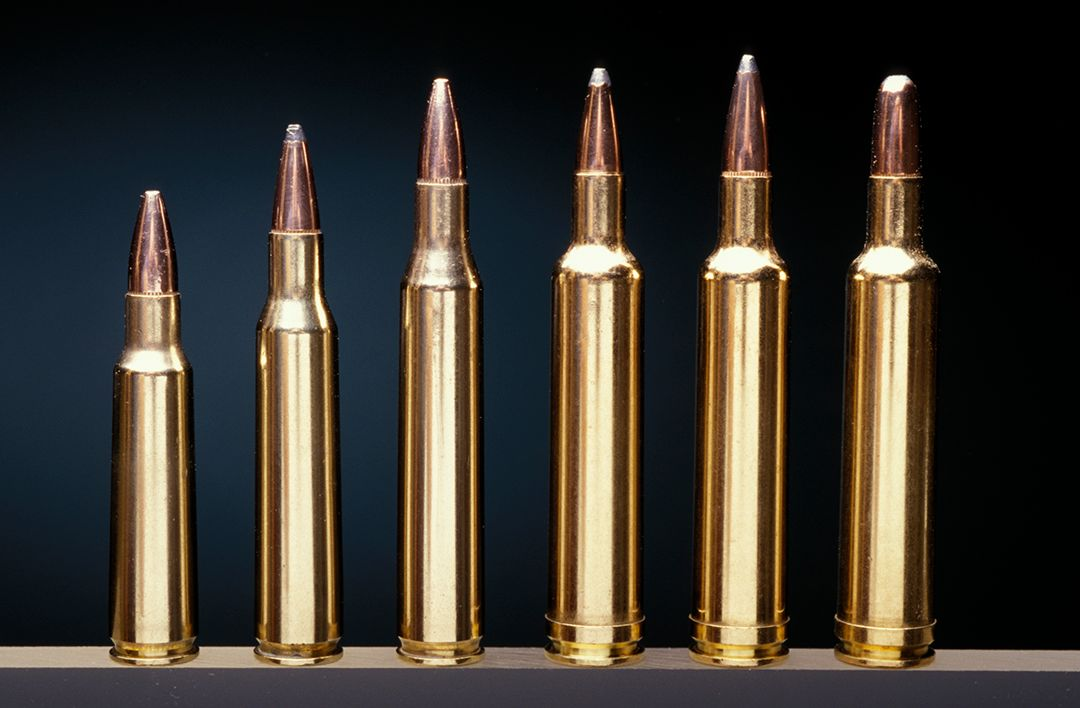 15 Versatile Hunting Calibers Every Hunter Should Know - Gadget Review