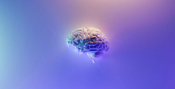 6 Neuroscience Breakthroughs Scientists Say Will Transform 2025 ...
