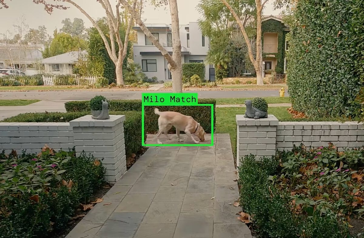 Leaked Emails Suggest Ring’s ‘Dog Finder’ Feature Helped Expand a Crime ...