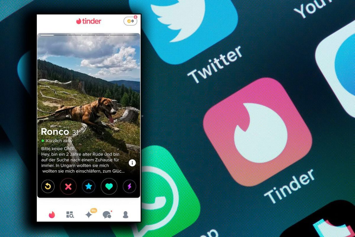 Scientists Studied 1,000 Tinder Profiles - One Photo Type Wins Most ...
